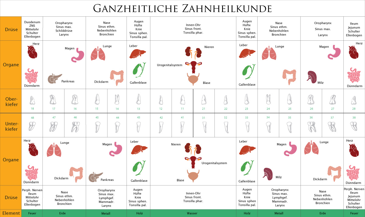 Komplementäre Zahnmedizin - Zahnarzt Dr. Alois Maier